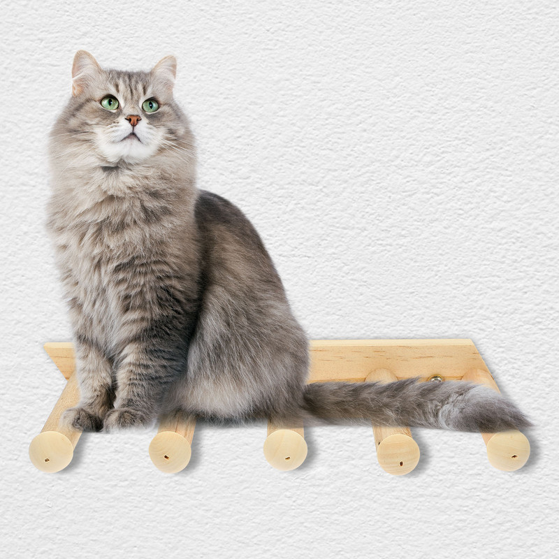 Badu Bg Стена Котки Котешки стъпала Дъска за катерене Стълби Костур