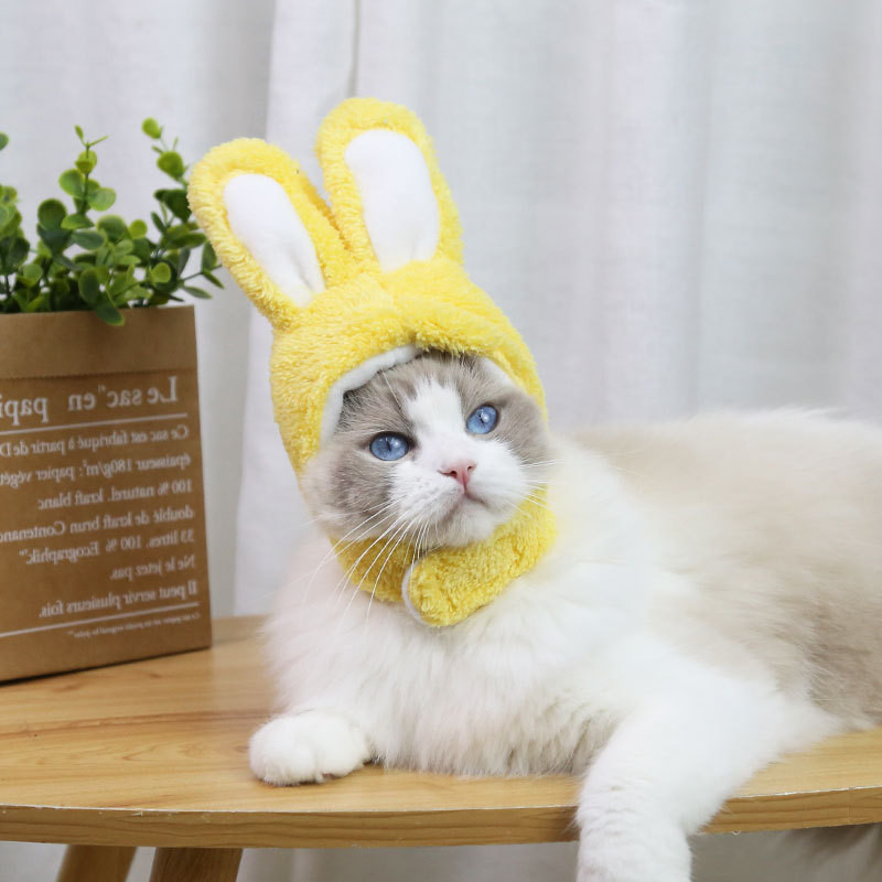 Badu.bg Смешно домашно куче, котка, шапка, костюм, топла заешка шапка ...