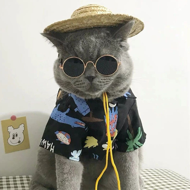 Badu.bg Слънчеви очила за домашни любимци Очила за котка Куче Очила с противоплъзгащ колан ...