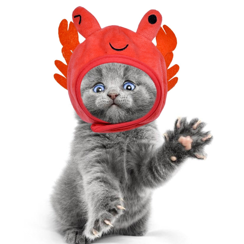 Badu.bg Шапка за котки Плюшена шапка за домашни любимци Сладка ...